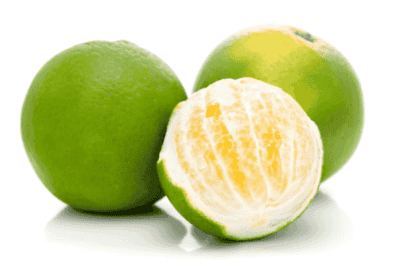 Winter Fruits in Pakistan: 15+ Picks for a Healthy Season